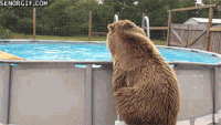 Piscina GIFs - Get the best gif on GIFER