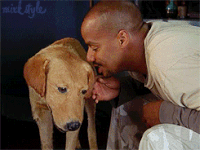 Turk GIFs - Get the best gif on GIFER