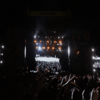 Acl GIFs - Get the best gif on GIFER