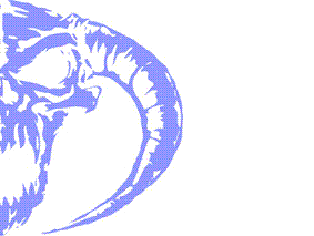 Moh GIFs - Get the best gif on GIFER