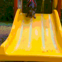 Slide GIFs - Get the best gif on GIFER