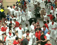 Bull GIFs - Get the best gif on GIFER
