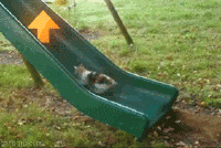 Pedal GIFs - Get the best gif on GIFER