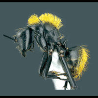 Biodiversity GIFs - Get the best gif on GIFER