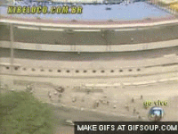 Tombo GIFs - Get the best gif on GIFER