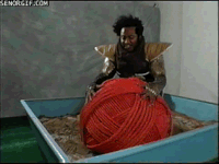 Distrust GIFs - Get the best gif on GIFER