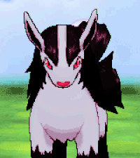 Absol GIFs - Get the best gif on GIFER