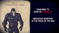 Unsolved GIFs - Get the best gif on GIFER