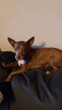 Winking GIFs - Get the best gif on GIFER