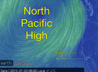 Meteorologist GIFs - Get the best gif on GIFER