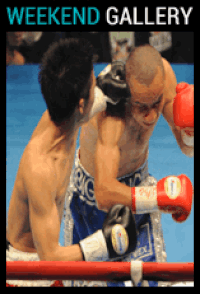 Wbc GIFs - Get the best gif on GIFER