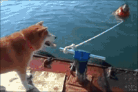 Drowns GIFs - Get the best gif on GIFER