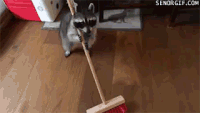 Sweeping Broom Gif