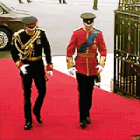 Duchess GIFs - Get the best gif on GIFER
