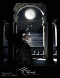 Violon GIFs - Get the best gif on GIFER