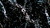 Sewage GIFs - Get the best gif on GIFER