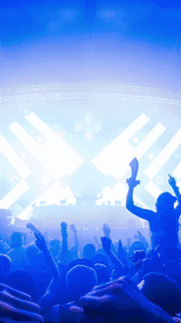 Festival GIFs - Get the best gif on GIFER