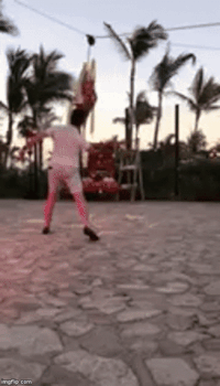 Pinata GIFs - Get the best gif on GIFER