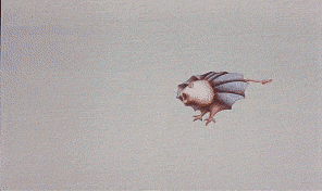 Lechuga GIF - Conseguir el mejor gif en GIFER