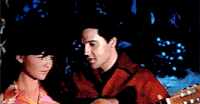 Clambakesongs GIFs - Get the best gif on GIFER