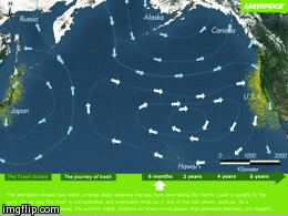 Pacific GIFs - Get the best gif on GIFER