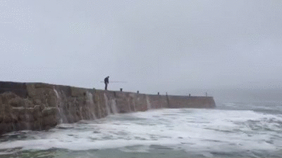 Snowbank GIFs - Get the best gif on GIFER