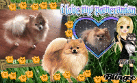 Prissy GIFs - Get the best gif on GIFER