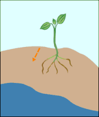 Biology GIFs - Get the best gif on GIFER