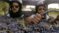 Grape GIFs - Get the best gif on GIFER