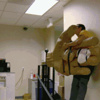 Jackass GIFs - Get the best gif on GIFER