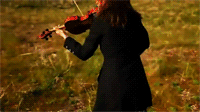 Violon GIFs - Get the best gif on GIFER
