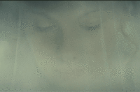 Mist GIFs - Get the best gif on GIFER