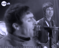 Oasis GIFs - Get the best gif on GIFER
