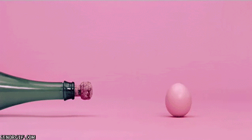 Eier GIFs - Get the best gif on GIFER