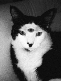 Mutation GIFs - Get the best gif on GIFER