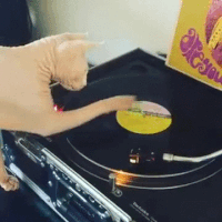 Johnny dangerously glitter GIFs - Get the best gif on GIFER