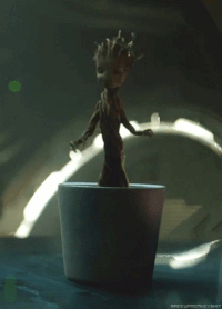 Everything Gif