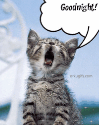 710 GIFs - Get the best gif on GIFER