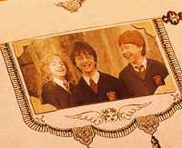 Snitch GIFs - Get the best gif on GIFER