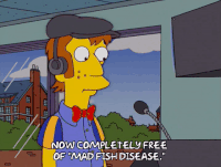 Announcing GIFs - Get the best gif on GIFER