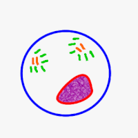 Celula GIFs - Get the best gif on GIFER