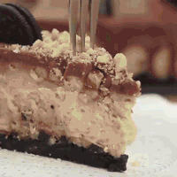 Cheesecake GIFs - Get the best gif on GIFER