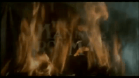 Aviator GIFs - Get the best gif on GIFER
