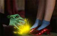 Slipper GIFs - Get the best gif on GIFER