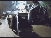 Dumpster GIFs - Get the best gif on GIFER