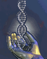 Thingy GIFs - Get the best gif on GIFER