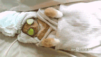 Spa GIFs - Get the best gif on GIFER
