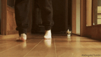 Internships GIFs - Get the best gif on GIFER