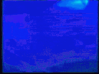 Slowdive GIFs - Get the best gif on GIFER