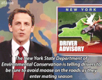 Elk GIFs - Get the best gif on GIFER